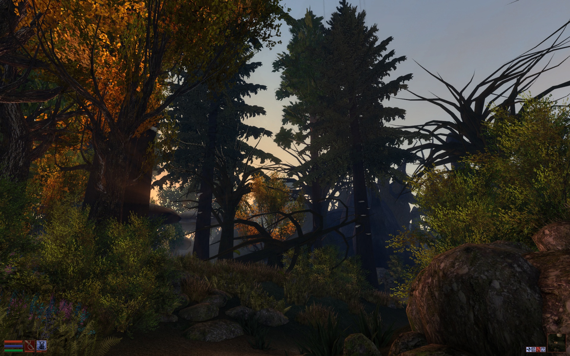 The Skyrim Effect Forums Cd Projekt Red 9929