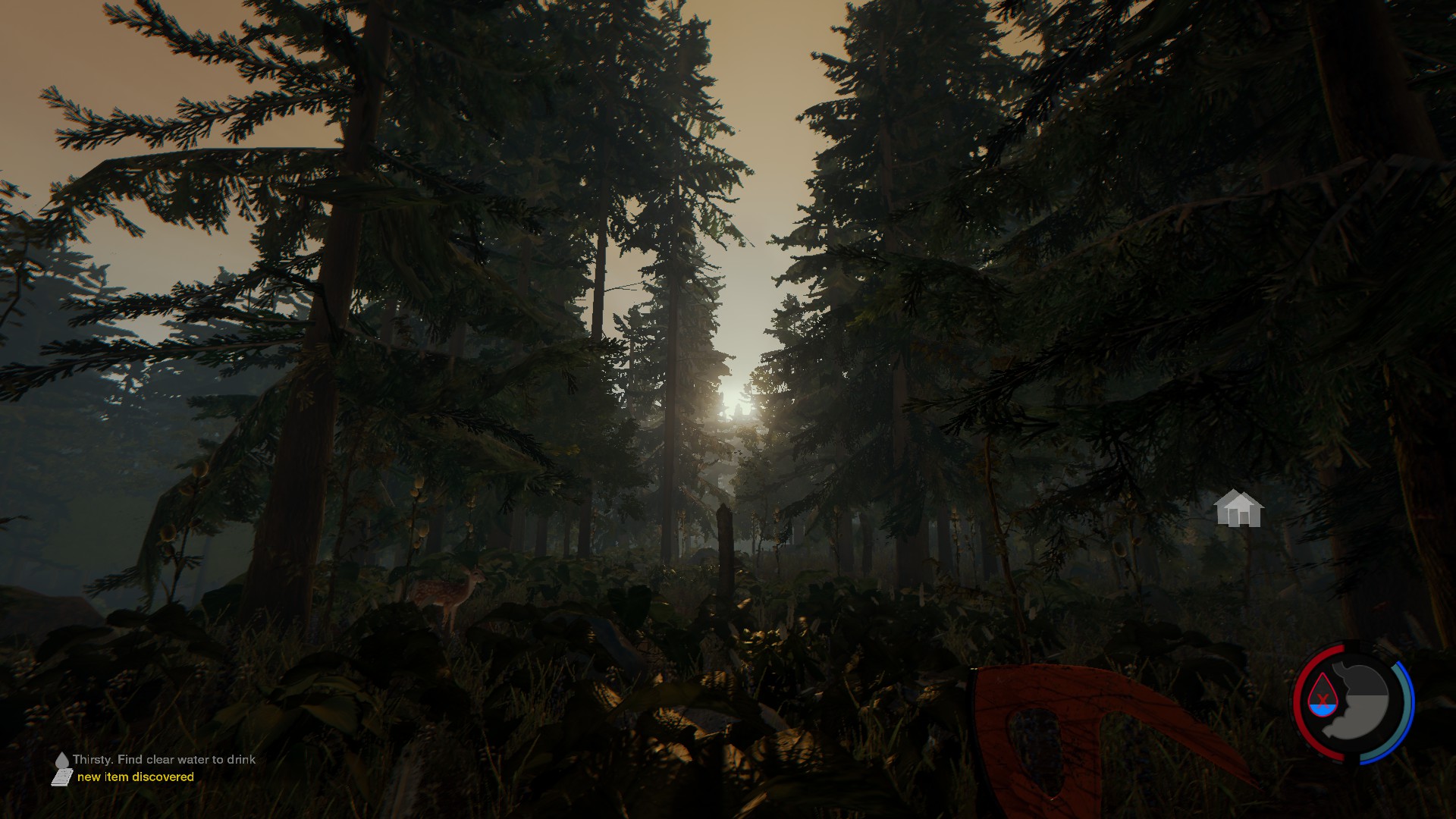 Steam Community :: The Forest