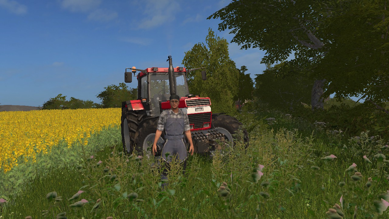 Steam Community :: Farming Simulator 17
