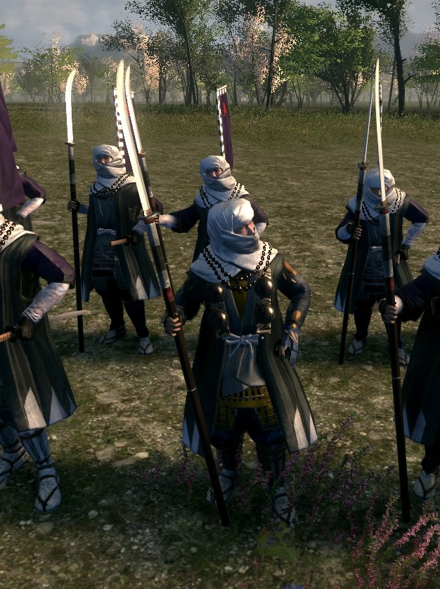 Total War: SHOGUN 2