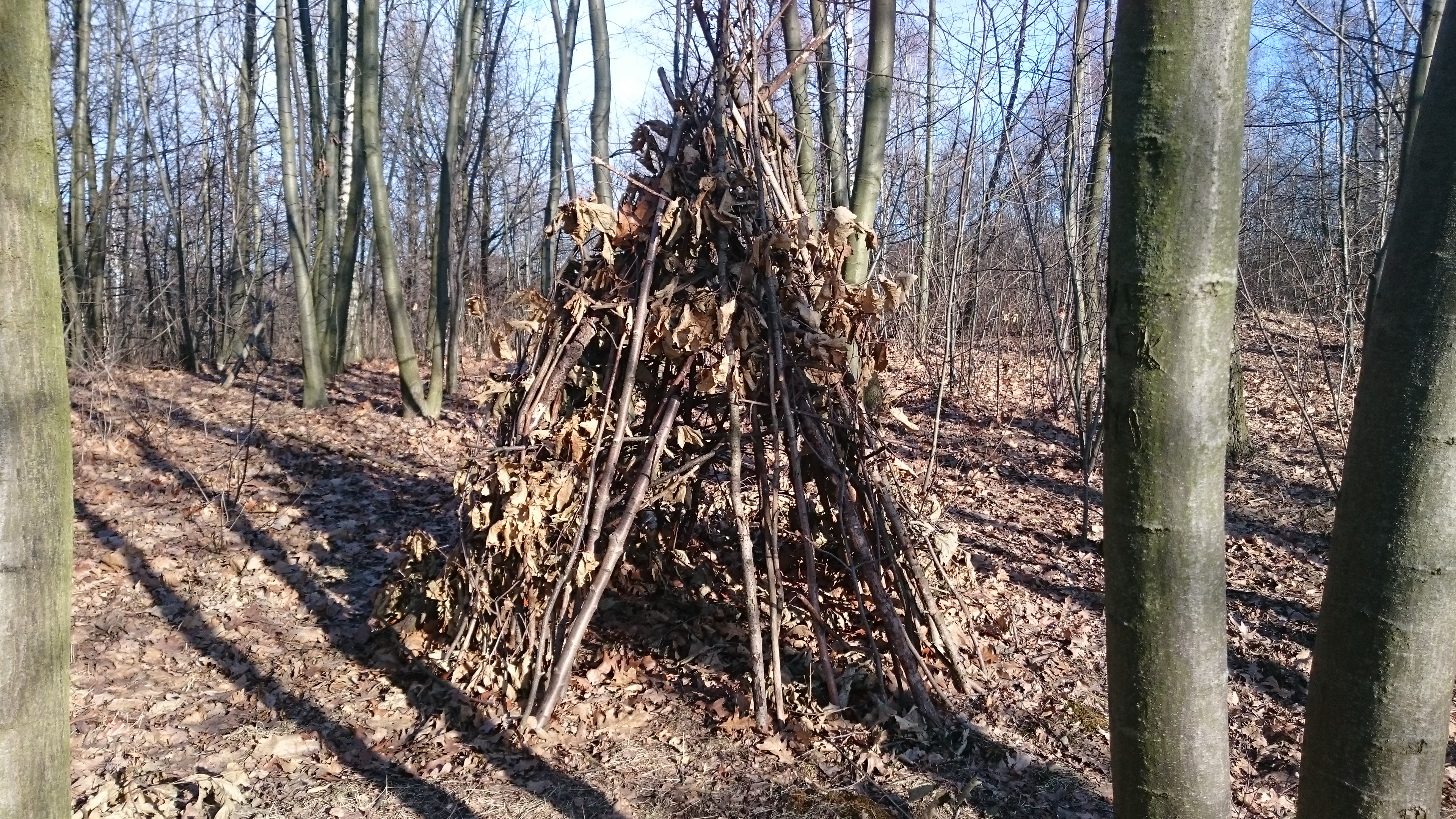 Steam Community :: The Forest