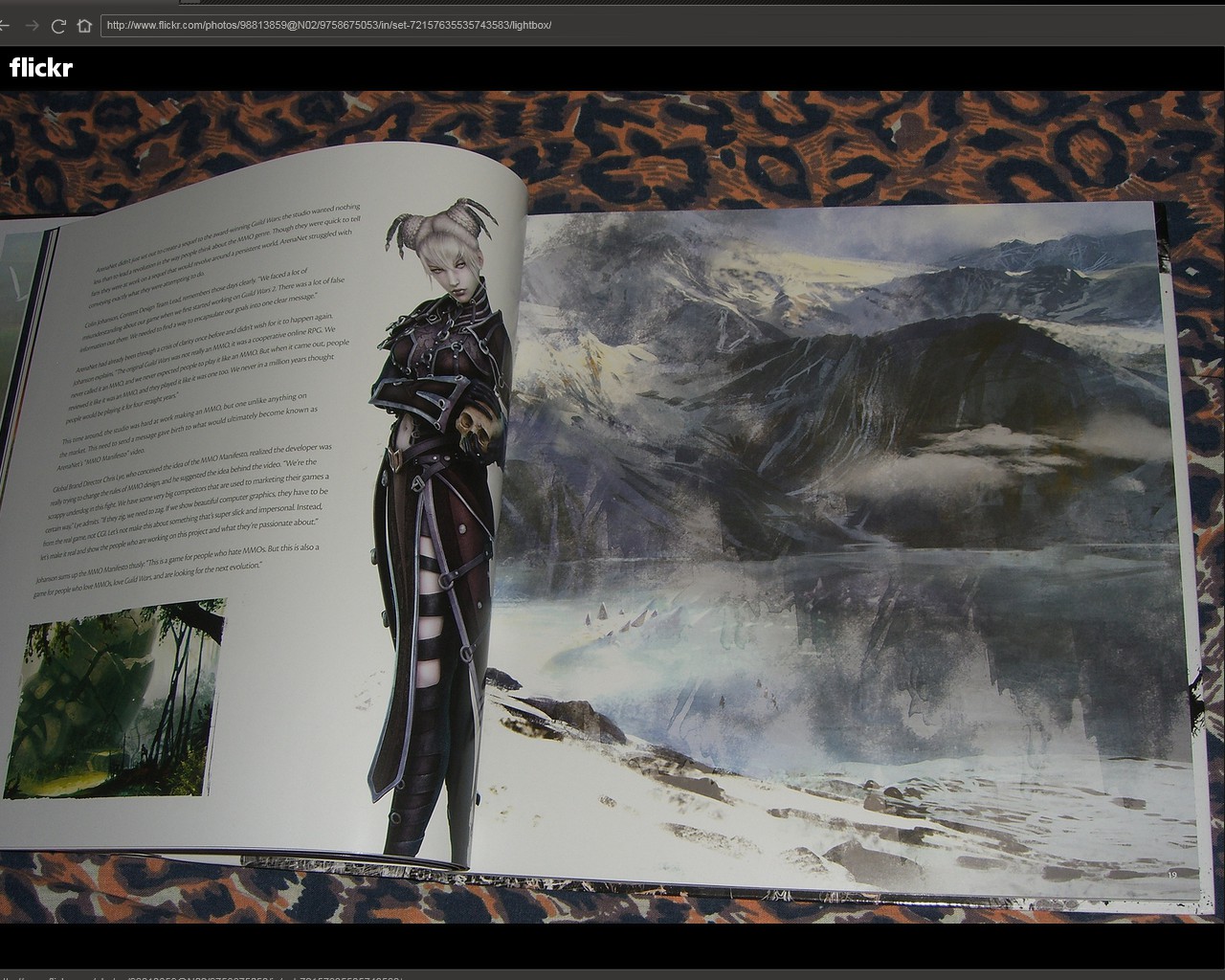 Steam Community :: Guide :: Guild Wars 2 Collector's Edition
